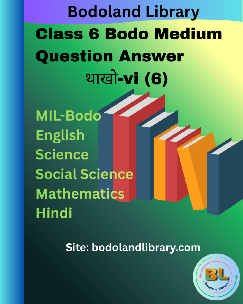 Class 6 - Bodoland Library