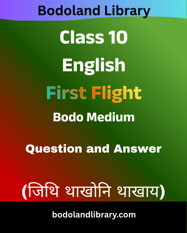 SEBA Class 10 English First Flight Bodo Medium Question Answer